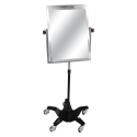 Hospital Birthing Mirror | Novum Medical Products